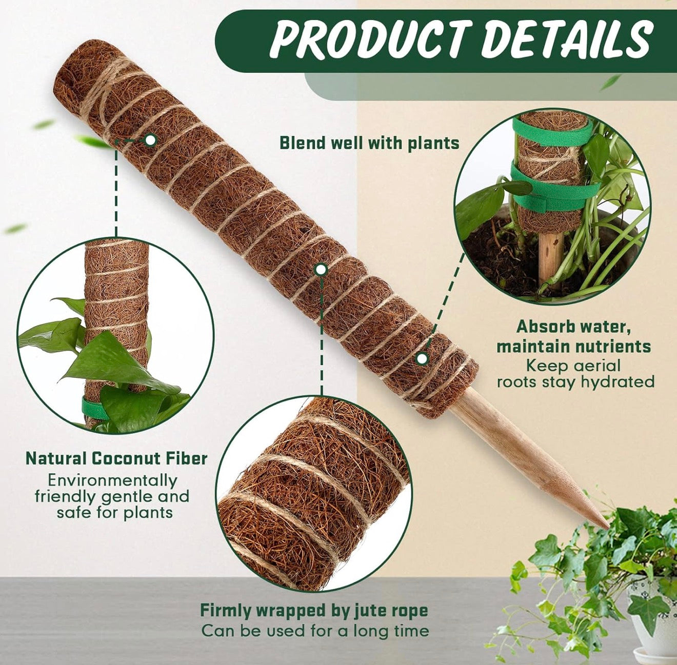 Natural Moss Pole for Vining Plants – The Boho Being, LLC